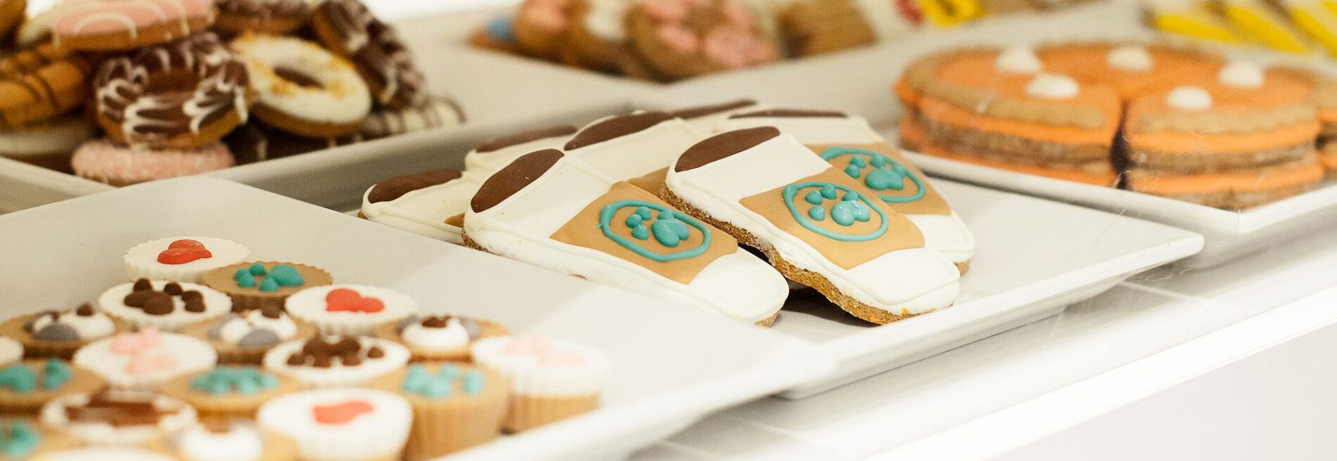 The the Bone & Biscuit Company Expands To Ontario With 8 New Stores By 2019
