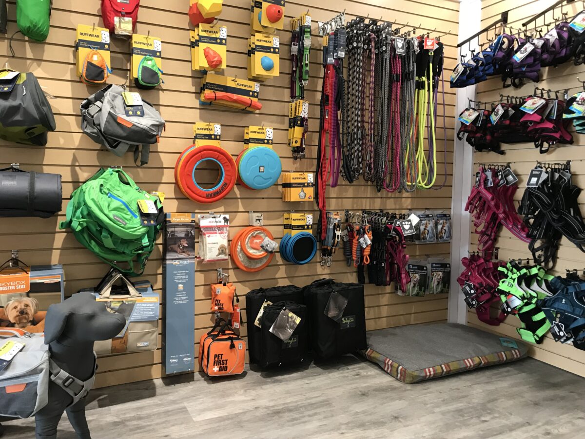 Pet Stores Edmonton Shopping Guide | The Bone & Biscuit