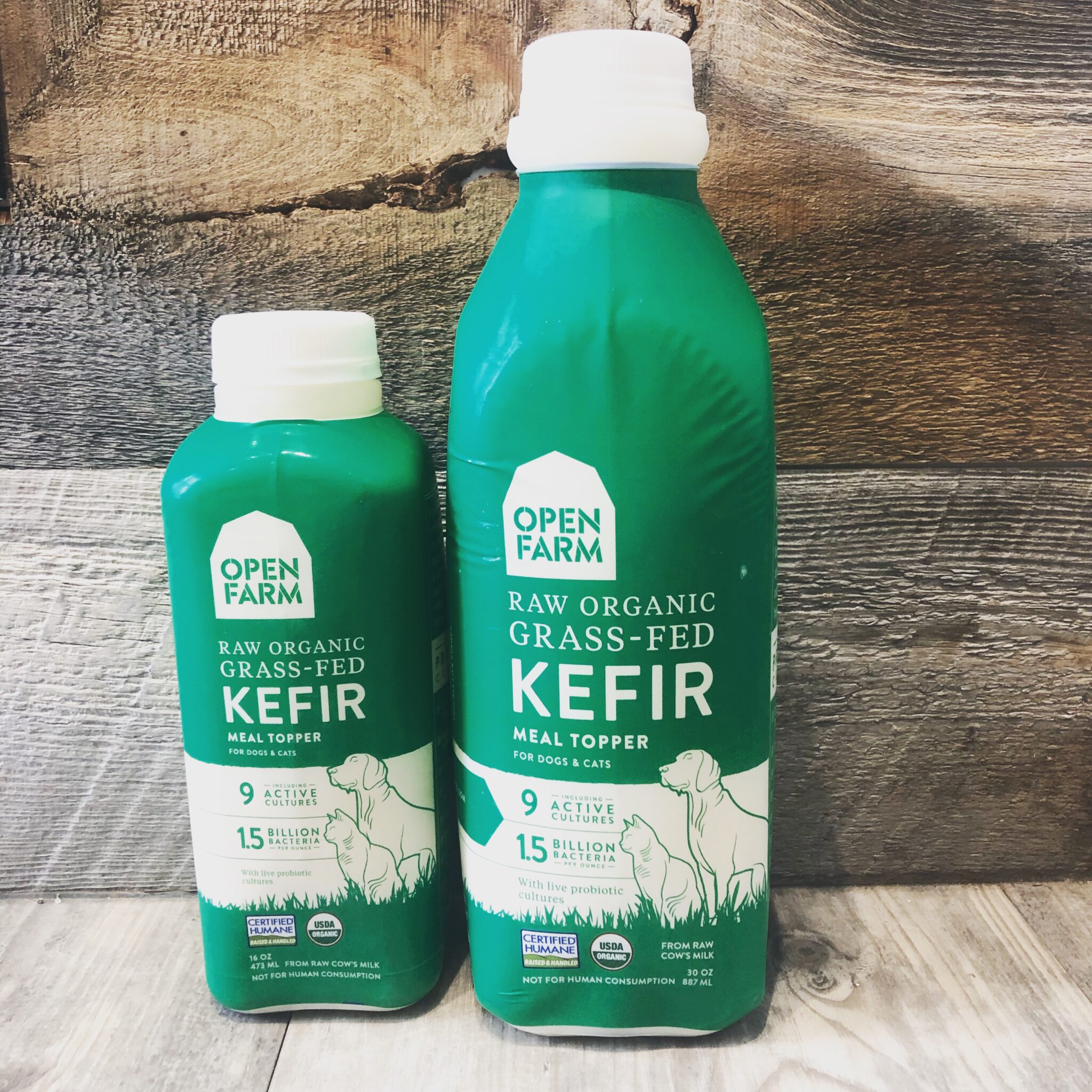 9 Wellness Essentials Every Pet Owner Needs to Know - the Bone ...