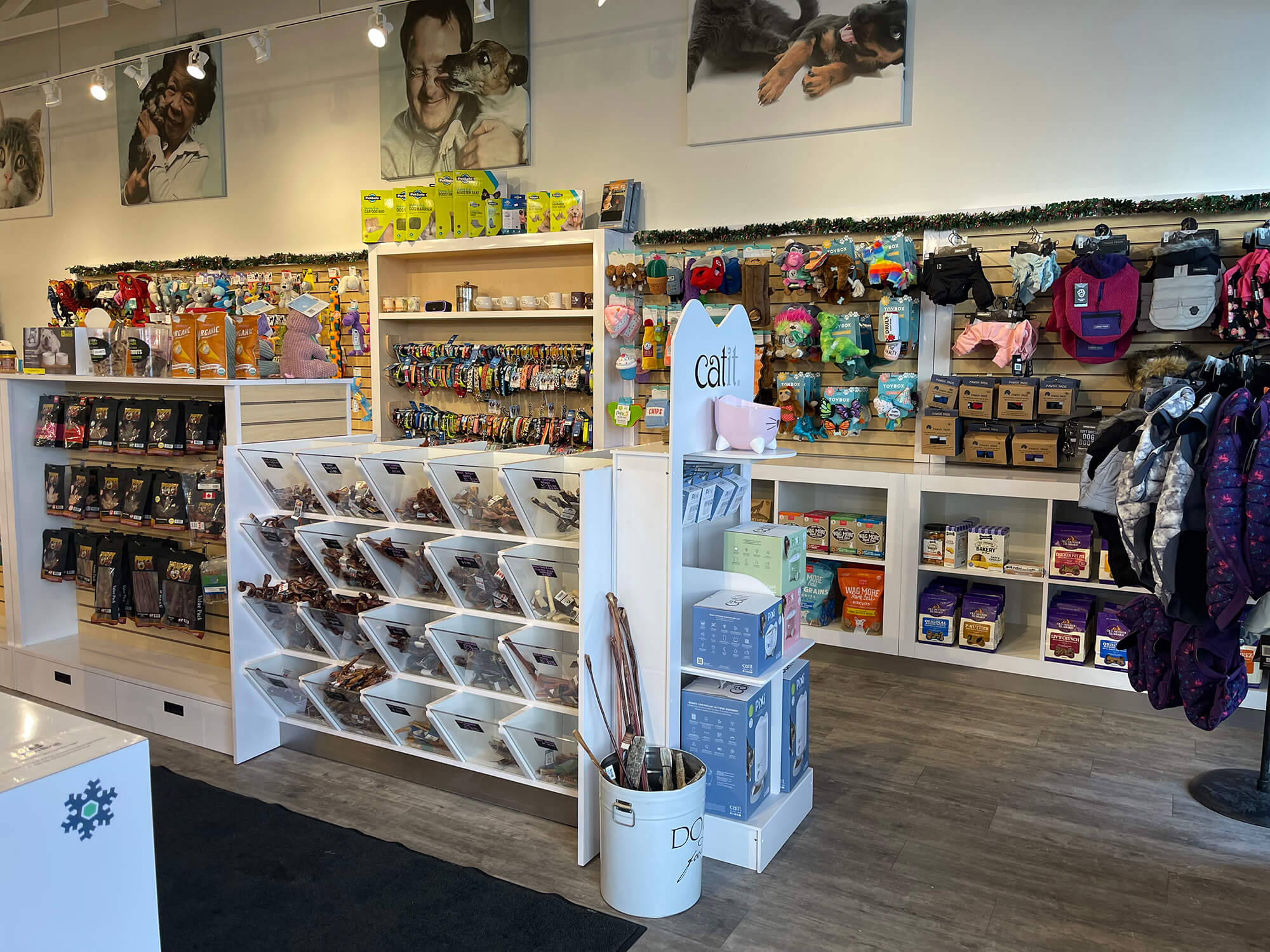 the Bone & Biscuit Store Spotlight: Franklin Now Reopened!
