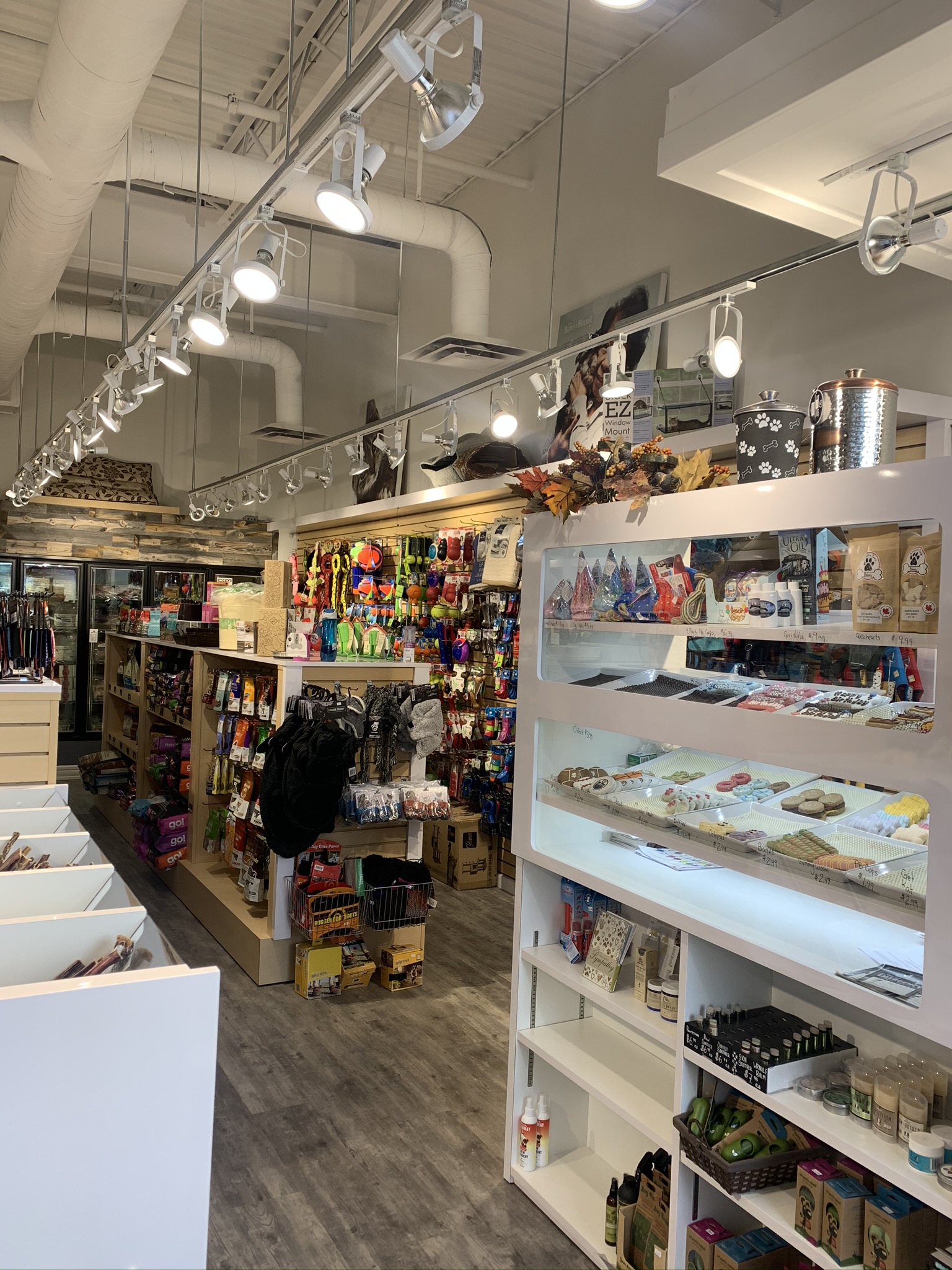 Pet Stores Edmonton Shopping Guide | The Bone & Biscuit