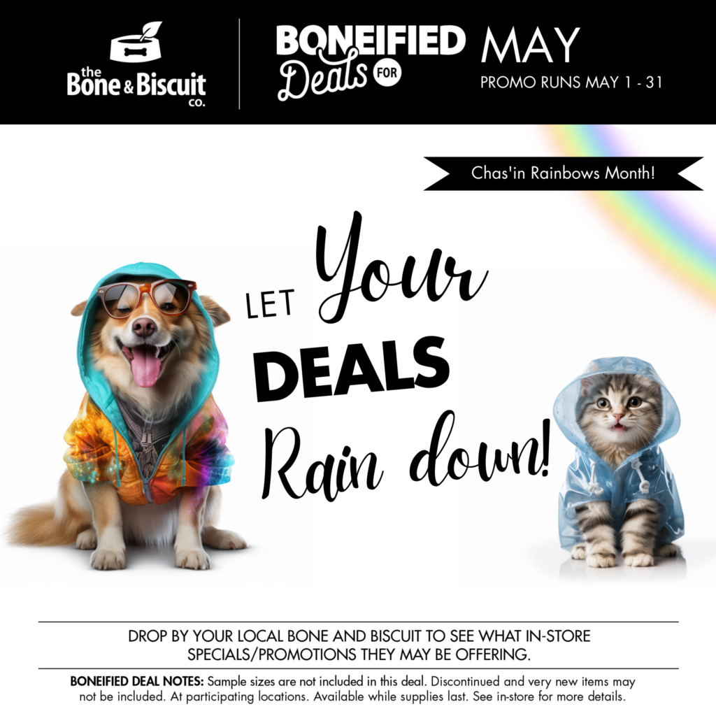 Deals and Specials | Bone & Biscuit
