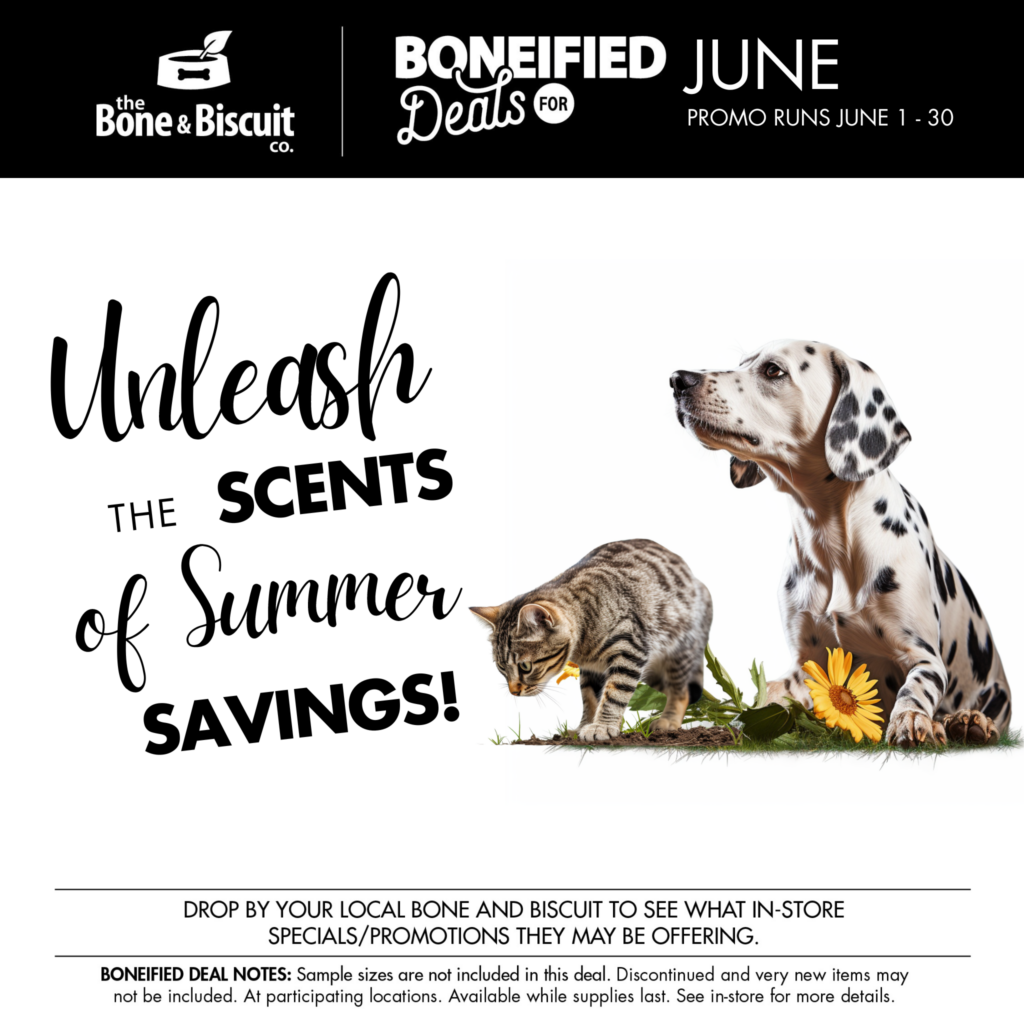 Deals and Specials | Bone & Biscuit